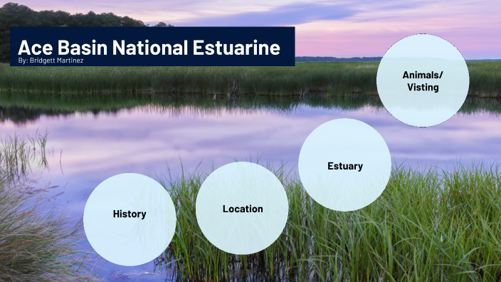ACE Basin National Estuarine by bridgett martinez on Prezi