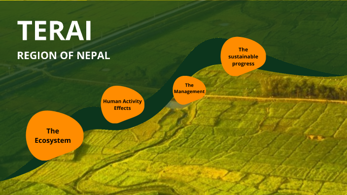 Terai - region of Nepal by Amelia K on Prezi