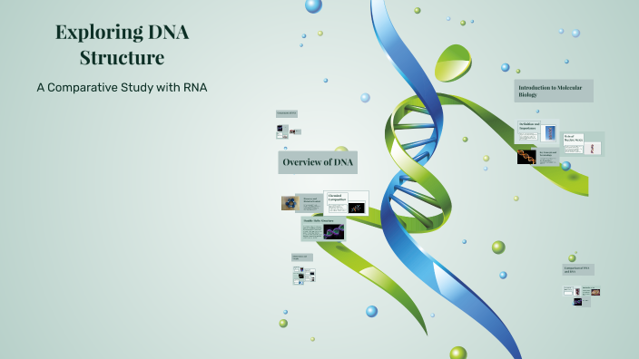Exploring DNA Structure by jehane ibrahim on Prezi