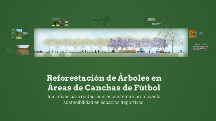 Reforestación de Árboles en Áreas de Canchas de Fútbol by veronica ...