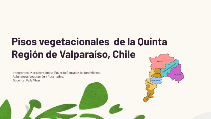 Vegetación Nativa y endémica de la Quinta Región de Valparaíso, Chile ...