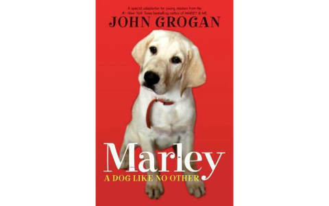 Marley a dog like no other by Mariah Beck on Prezi