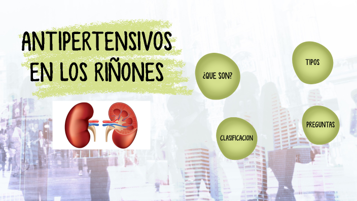 ANTIPERTENSIVOS EN LOS RIÑONES by Wiki Land on Prezi