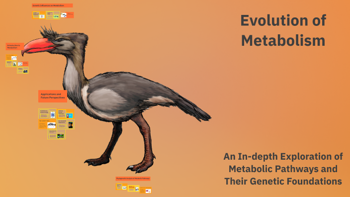 Evolution of Metabolism by Yusuf Doğan on Prezi