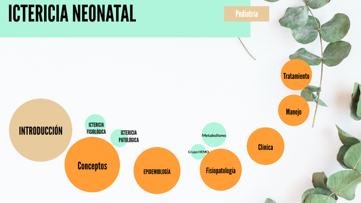 ICTERICIA by Jennyfer Orjuela on Prezi