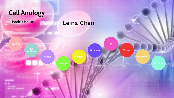 Cell Anology by Leina Chen on Prezi