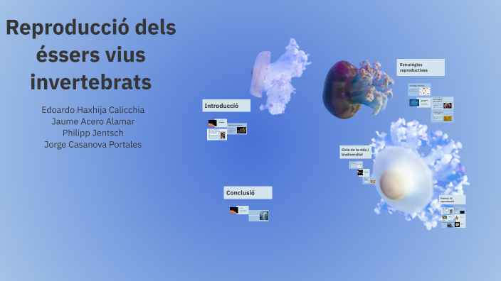 Reproducció dels éssers vius invertebrats by Edoardo Haxhija Calicchia ...