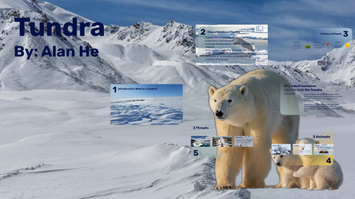 Environmental Science Biome Presentation: Tundra by Alan He on Prezi