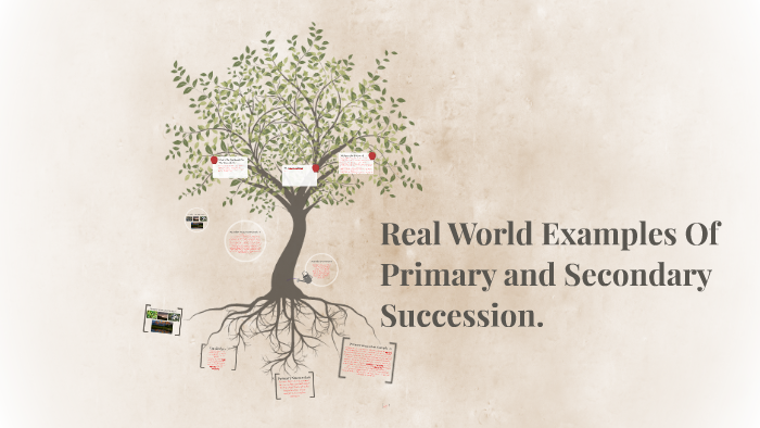 Real World Examples Of Primary and Secondary Succession. by Jenasia ...