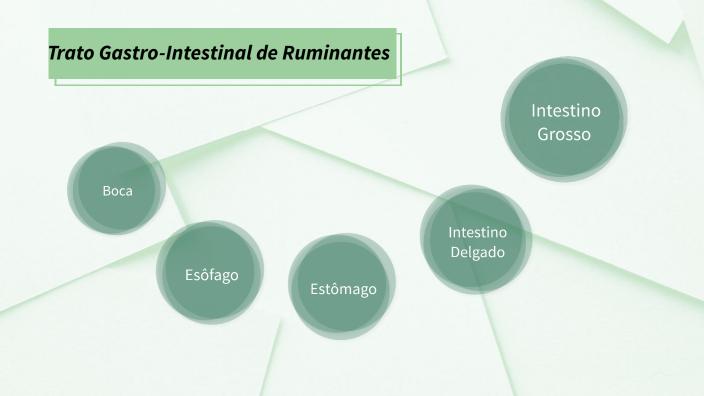 TGI de ruminantes by RAYANNE SOUZA on Prezi