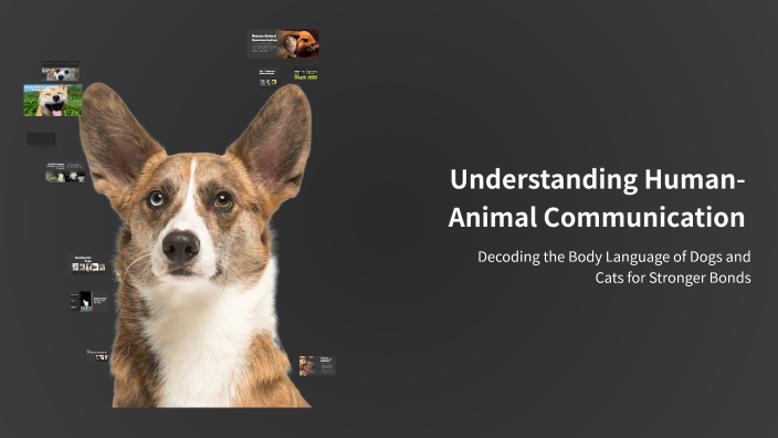 Understanding Human-Animal Communication by a24.53fd Chuo University on ...