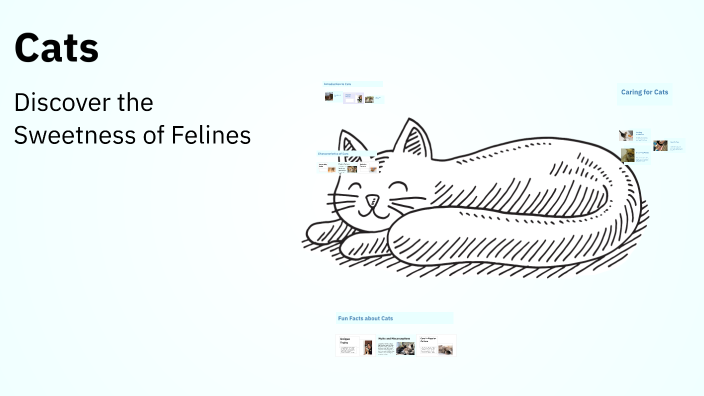 Cats by MIAŁDAS LORD on Prezi