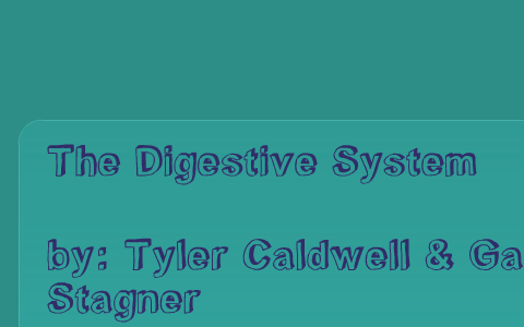 Digestive System by Garrett Stagner on Prezi