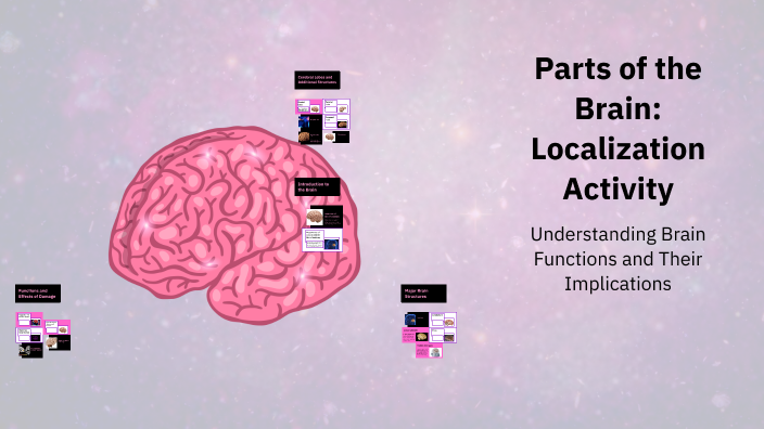 Parts of the Brain: Localization Activity by JS - 11ZZ 902922 Harold M ...