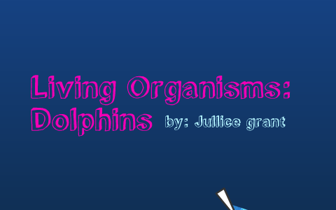 Living Organisms: Dolphins by jullice grant on Prezi