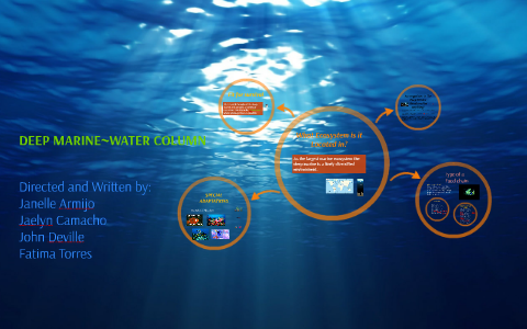 DEEP MARINE~WATER COLUMN by Janelle Armijo on Prezi