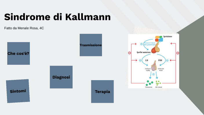 sindrome di kallman by Rosa Menale on Prezi
