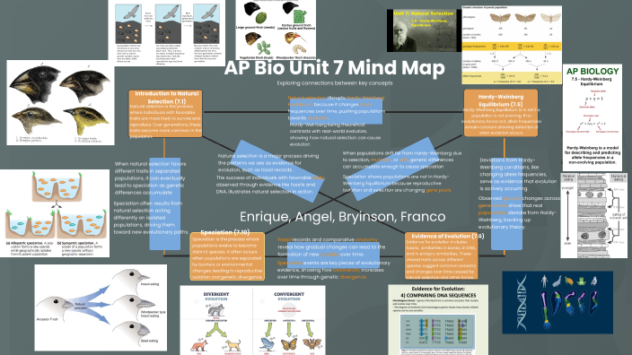 Unit 7 mind map by Enrique Jimenez on Prezi