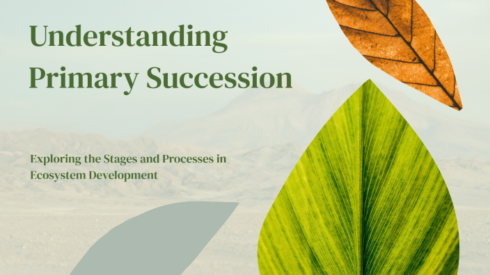 Understanding Primary Succession by miyah miller on Prezi