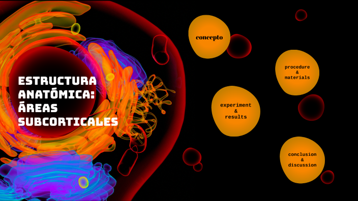 Estructura anatómica: ÁREAS SUBCORTICALES by Valeria Paco Caceres on Prezi