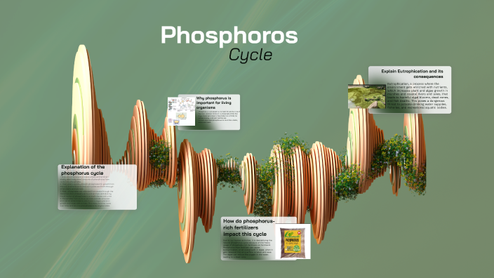 Phosphoros cycle by Danika Learned on Prezi