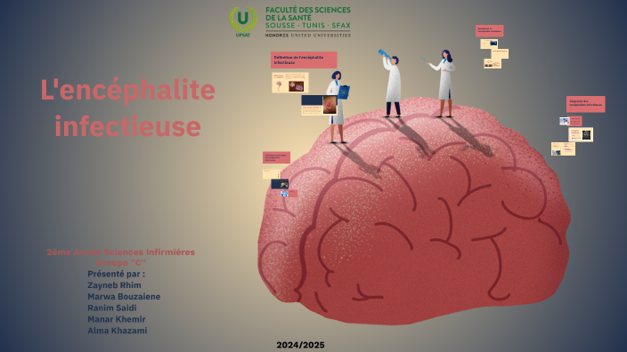 L'encéphalite infectieuse by zayneb rhim on Prezi