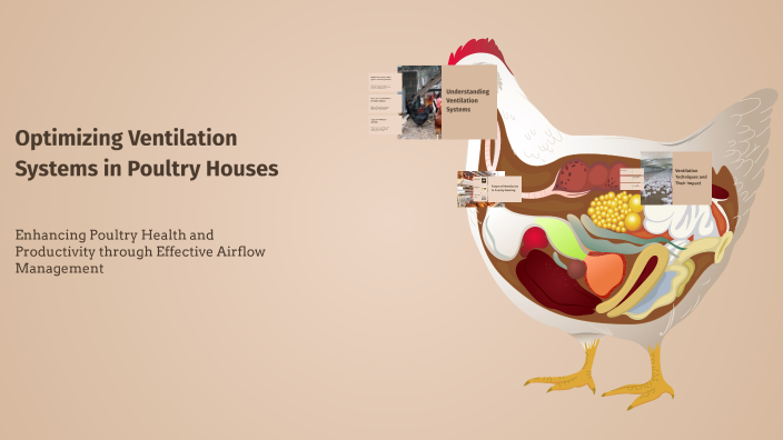 Optimizing Ventilation Systems in Poultry Houses by Eman Mhummed on Prezi