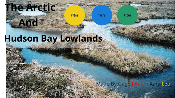 The Arctic and Hudson bay lowlands by Gage Jeffries on Prezi