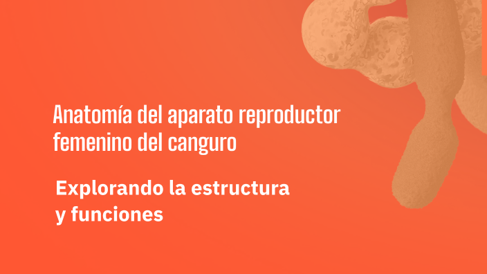 Anatomía del aparato reproductor femenino del canguro by Juan Agustin ...
