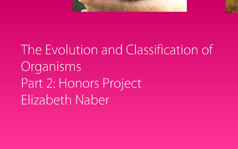 Evolution and Classification of Organisms by Elizabeth Naber on Prezi