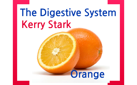 Digestive System: Orange by Kerry Stark on Prezi