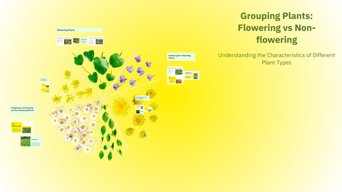 Grouping Plants: Flowering vs Non-flowering by Kassandra Morgan on Prezi