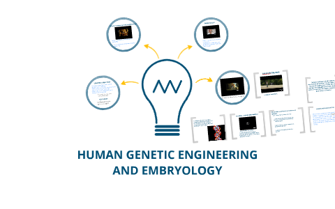 HUMAN GENETIC ENGINEERING AND EMBRYOLOGY by on Prezi