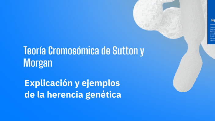 Teoría Cromosómica de Sutton y Morgan by Victor Manuel Rodríguez ...