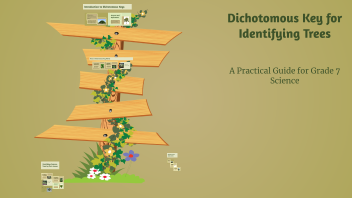 Dichotomous Key for Identifying Trees by De Seconds on Prezi