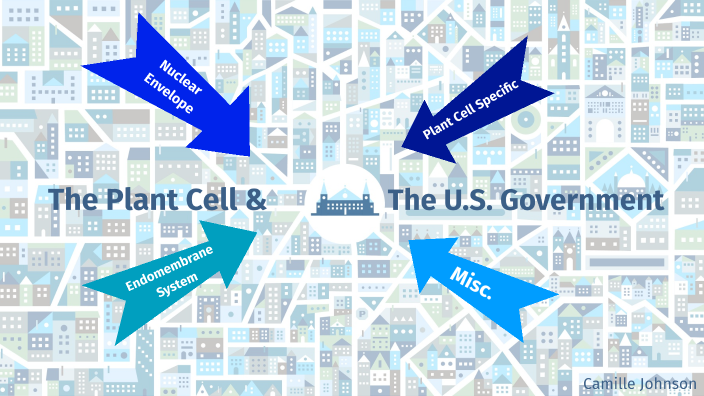 The Plant Cell and the U.S. Government by Camille Johnson on Prezi