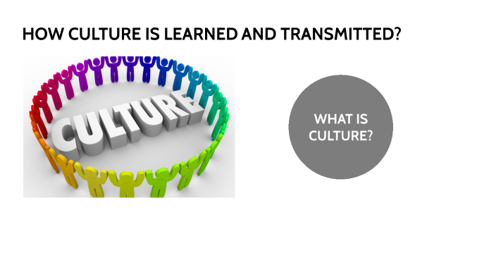 How Culture is Learned and Transmitted by Mark Riño on Prezi
