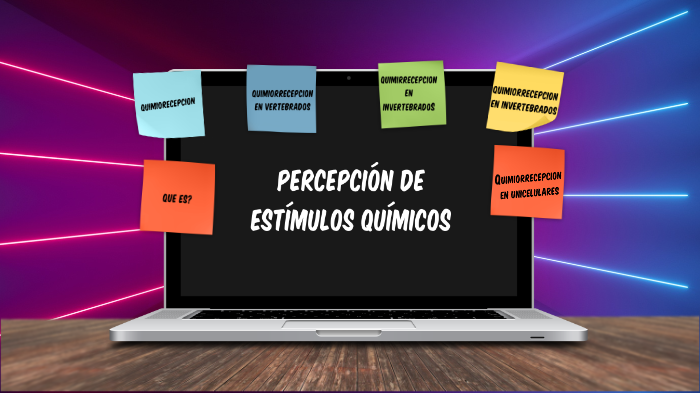percepción de estímulos químicos by francisco rodriguez on Prezi