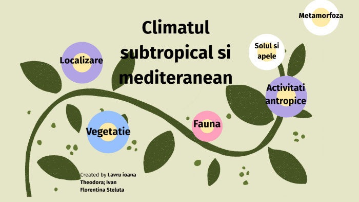 Clima subtropicala by Lucia Maria on Prezi