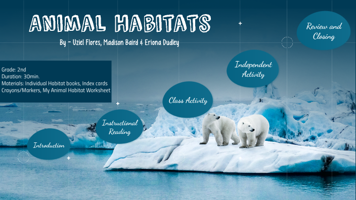 Animal Habitats - Lesson Plan (Uziel Flores, Madison baird & Eriona ...