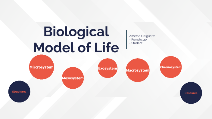 Bioecological Model of Life by Amerae Ortiguerra on Prezi
