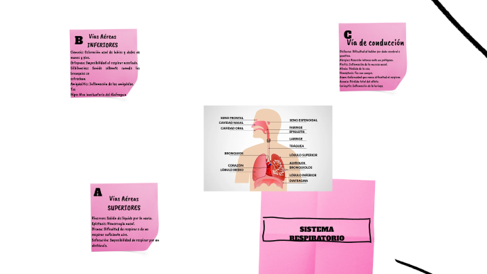 semiologia by Casas Ibañez Cynthia Nallely on Prezi
