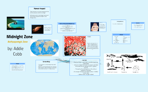 Midnight Zone by addie cobb on Prezi