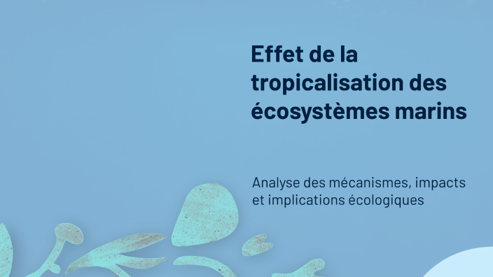 Effet de la tropicalisation des écosystèmes marins by lyna trk on Prezi