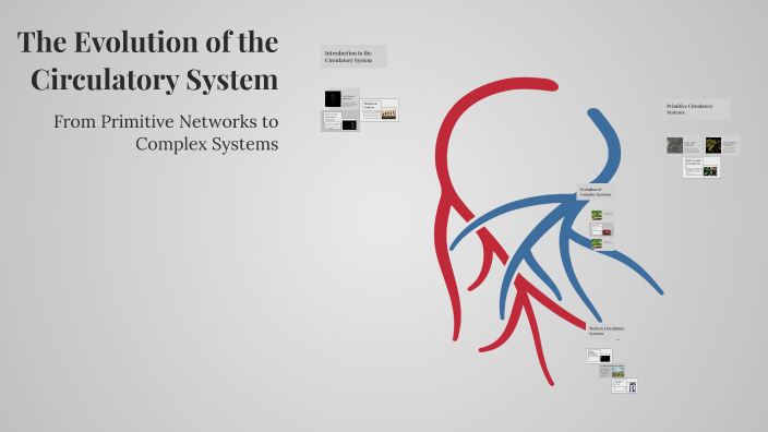 The Evolution of the Circulatory System by Ryan Gallagher on Prezi