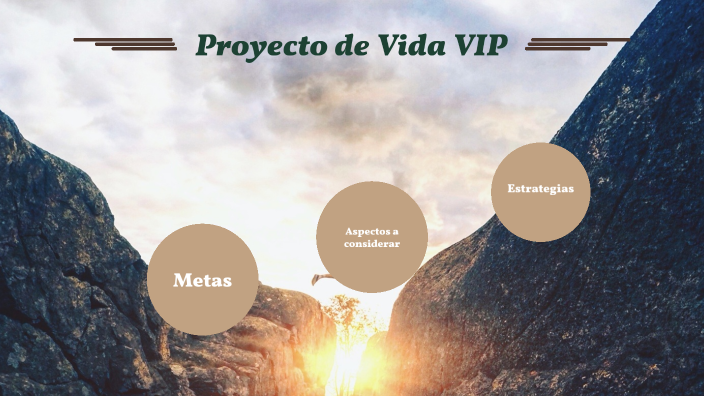 Proyecto de Vida VIP by THOMAS TIMOTEO GUARCAS RAMIREZ