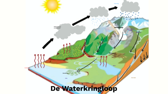 Waterkringloop presentatie by Jaimy Ots on Prezi