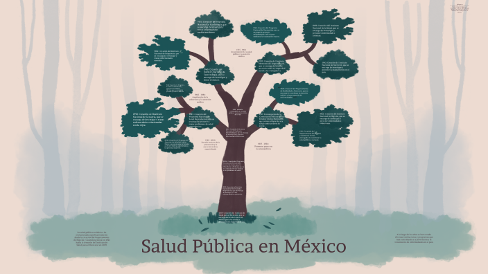 Salud Pública En México By Jaén Benítez Mishelle Stefania On Prezi 3726