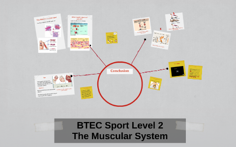 BTEC Sport Level 2 by Michelle Thomas on Prezi