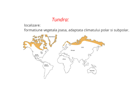 Zone de vegetaţie şi faună by ibanescu gabriel on Prezi